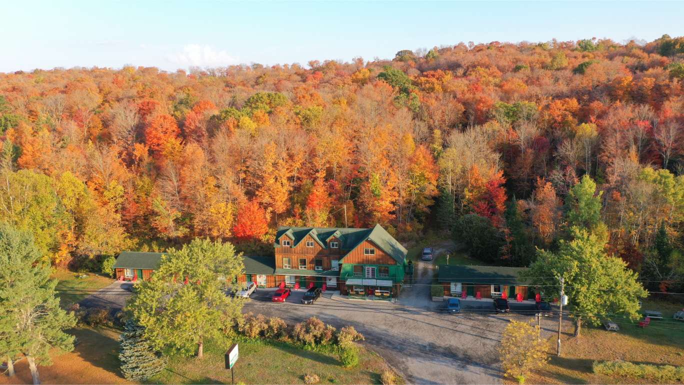 Dwight Village Motel | Motel Near Algonquin Park & Muskoka, Ontario